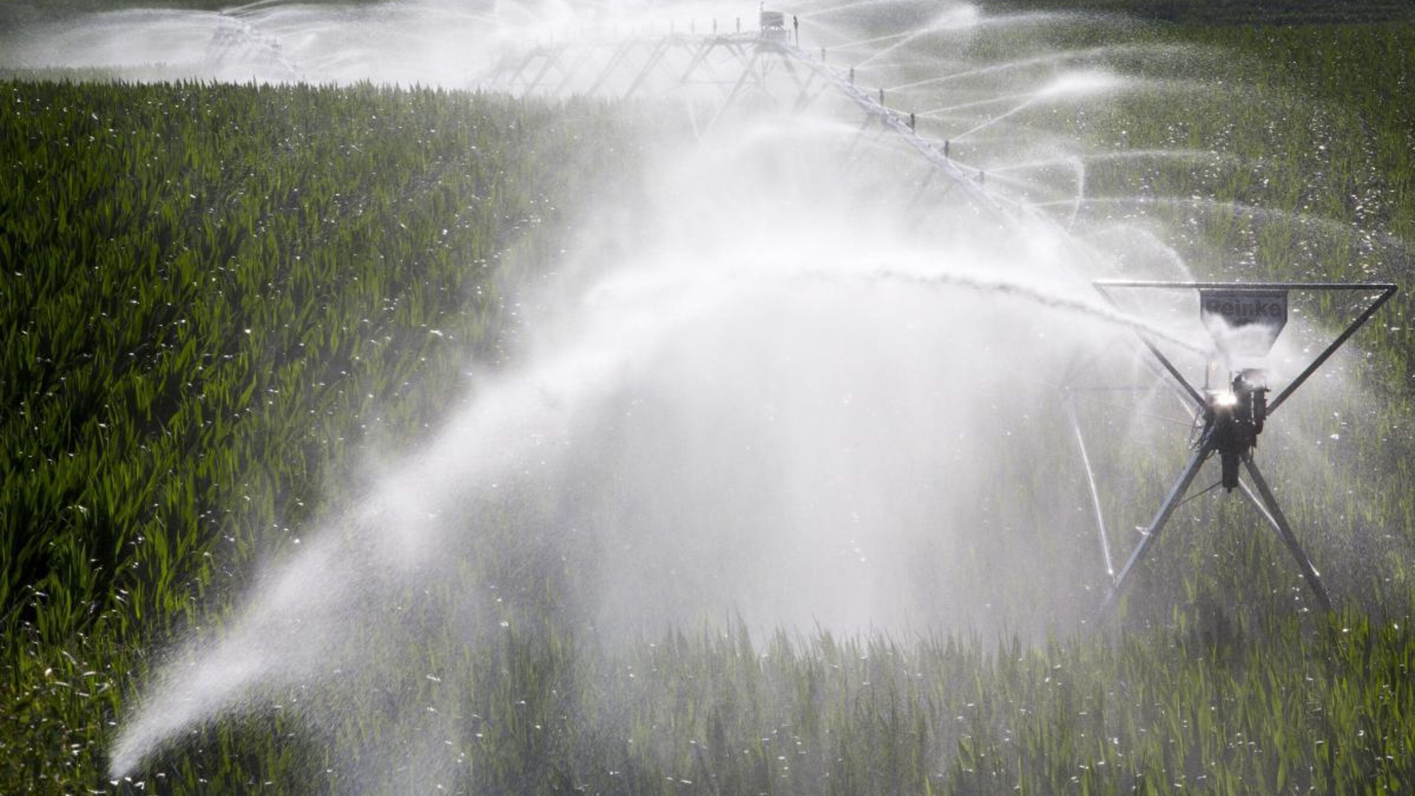 Irrigation and Agricultural Water Management | Biological Systems ...