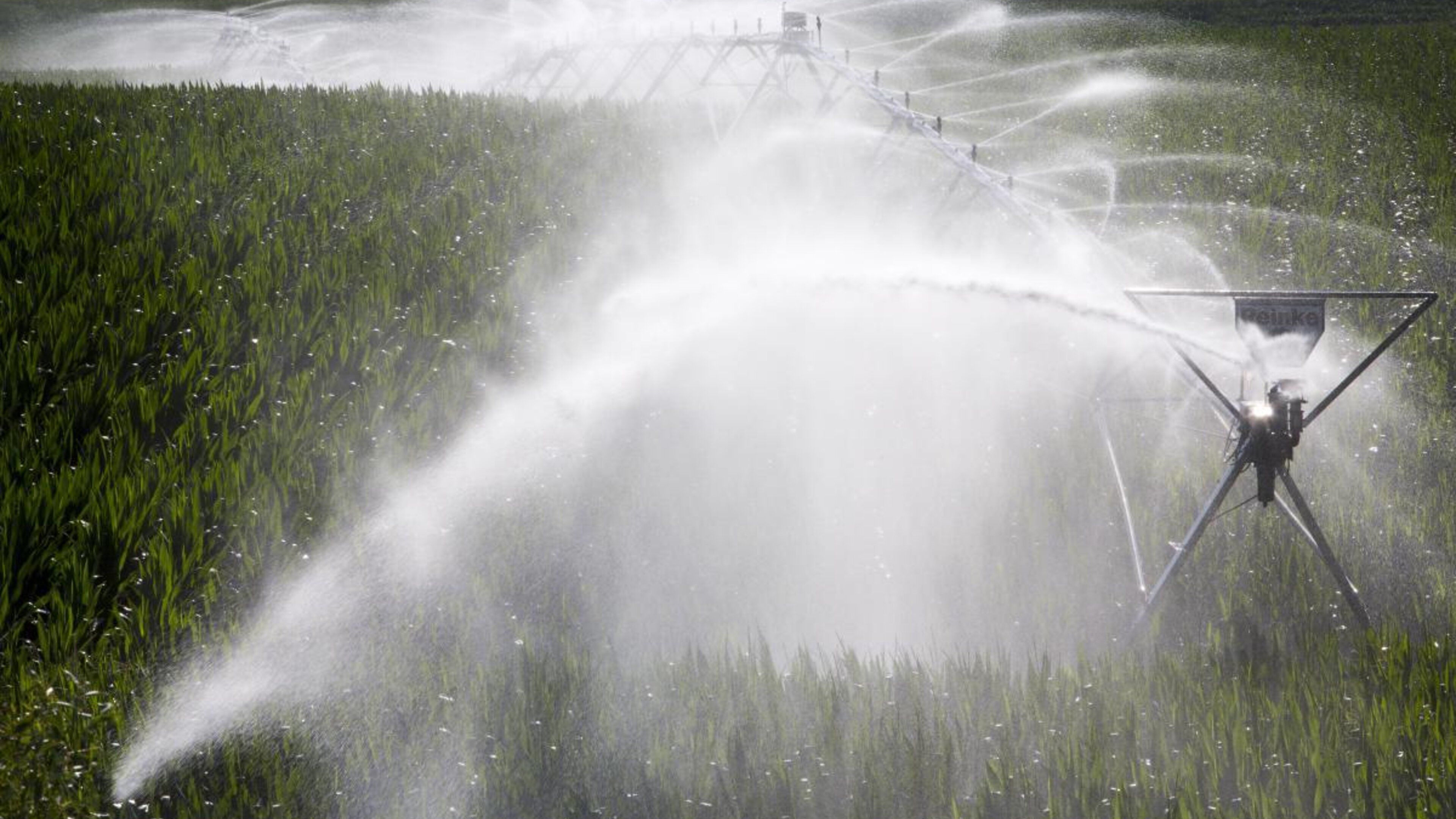 Irrigation and Agricultural Water Management | Biological Systems ...